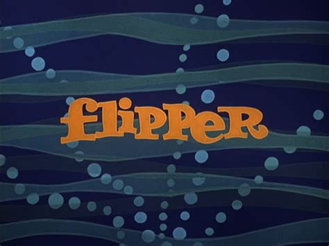 Flipper Hd Complete Series — Network 33