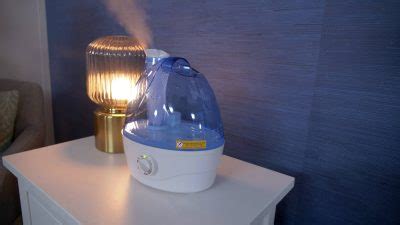 How To Use A Humidifier Types Maintenance Safety Tips And More Atelier Yuwa Ciao Jp