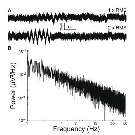 Simulated Electrophysiological Signal A Simulated 1 F Baseline Noise Download Scientific