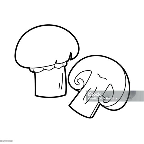 버섯 샴 피뇽 벡터 검정 흰색 윤곽선 그림입니다 어린이 색칠하기 책의 디자인 요소 또는 페이지 Championship에 대한