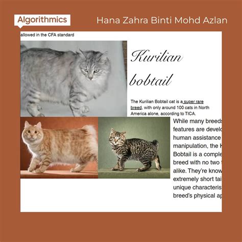 Algorithmics Seremban 2 Seremban