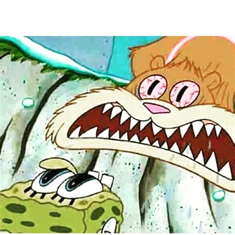 Sponge Bob Memes Imgflip Sponge Bob Memes Imgflip