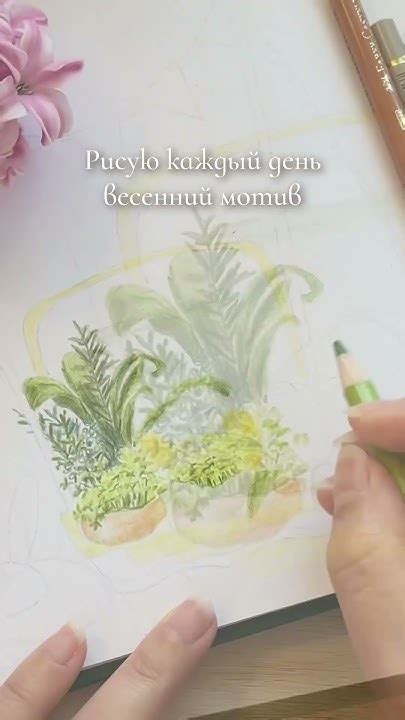 Учусь рисовать цветными карандашами Youtube