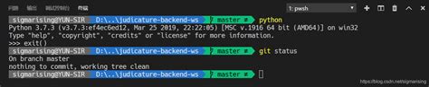 美化 Powershellpwsh Csdn博客