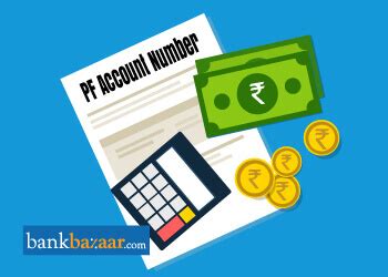 PF Account Number Check PF Account Balance Details