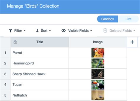 Mastering Repeaters In Wix With Velo CodeMasters Agency