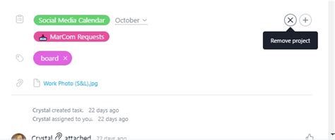 How To Move Tasks To A Different Project Ask The Community Asana Forum