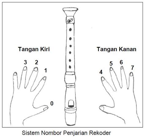 Pnp Muzik Teknik Bermain Rekoder