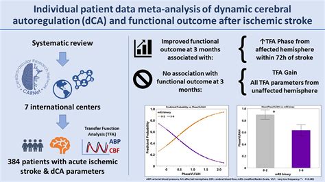 Individual Patient Data Meta Analysis Of Dynamic Cerebral