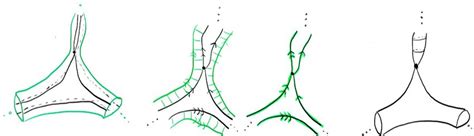 At The Left Is The Buffered Diagram With The Buffer Drawn In Green Download Scientific