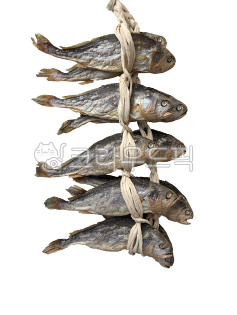 굴비 보리굴비 조기 Png 누끼 사진 이미지 일러스트 캘리그라피 나비처럼작가