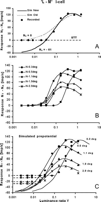 Visual Signal Processing In The Macaque Lateral Geniculate Nucleus