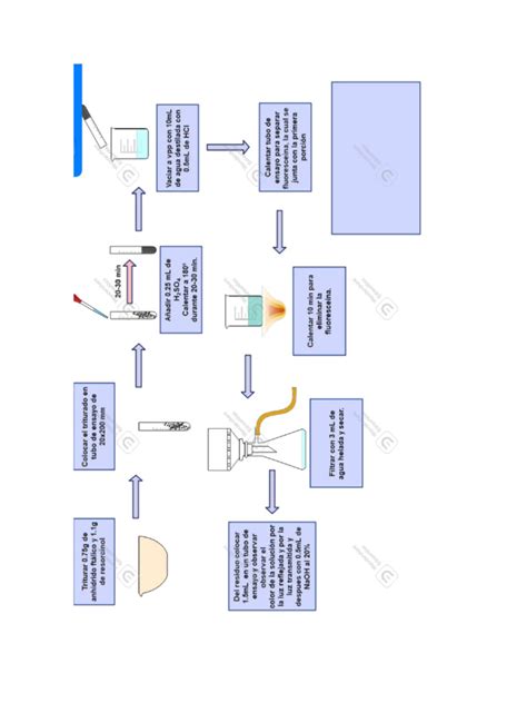 Df7 Pdf