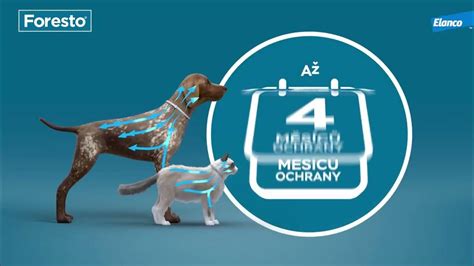 Foresto MECHANISMUS ÚČINKU - YouTube