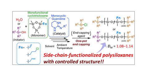Precise Synthesis Of Side Chain Functionalized Linear Polysiloxanes By Organocatalytic Ring
