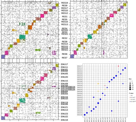 Pairwise Dot Plots And Chromosome Chromosome Significance Top Dot