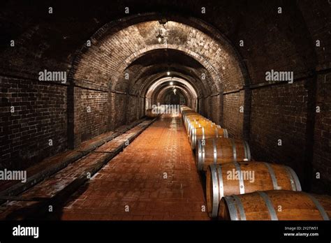A Dimly Lit Wine Cellar With Wooden Barrels Lined Up Along The Brick Walls And Arched Ceilings