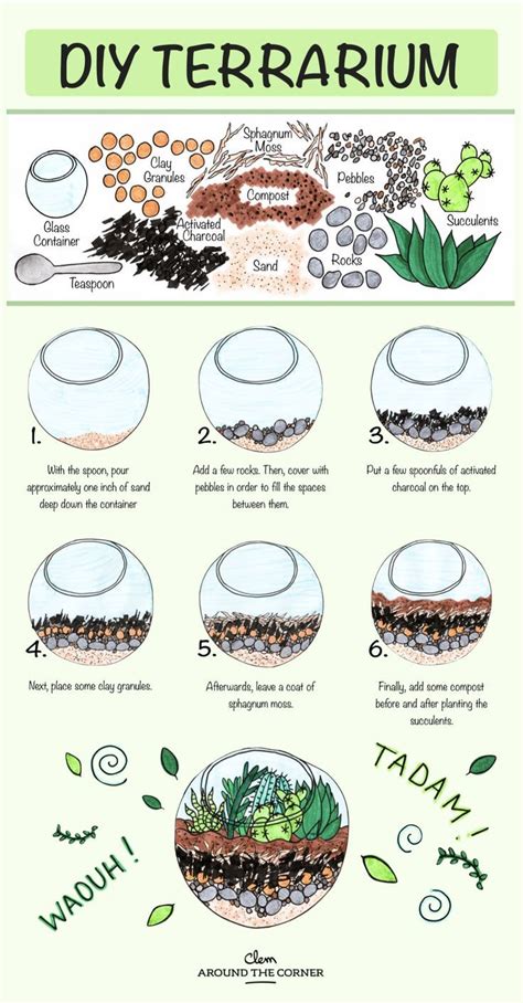 The Ultimate Guide To Making A Terrarium For Beginners Artofit