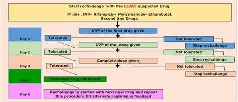 E Algorithm For Rechallenge With Att Drugs 8 Download Scientific Diagram