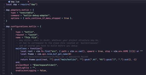 How Do I Setup Nvim Dap Rneovim