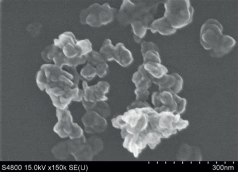 Micrographs Of TiO NPs By SEM A The Diameter Of A TiO NPs Is Download Scientific Diagram