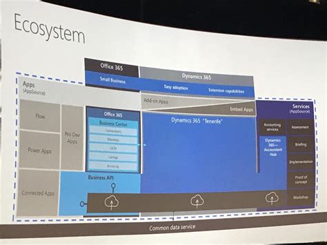 Dynamics365tenerifeecosystem Kauffmann Dynamics 365 Business Central