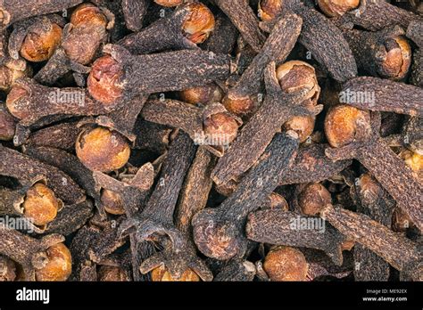 Close Up Of Aromatic Medicinal Cloves As Background Syzygium
