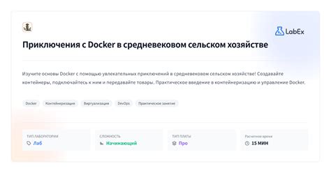 Приключения с Docker в средневековом сельском хозяйстве Labex