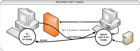 Ssh Wordpress Bos Informatique