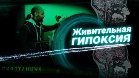 Лаборатория регуляции функций нейронов мозга Movie Posters Poster Movies