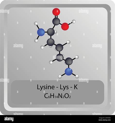 Lysine Amino Acid Structure