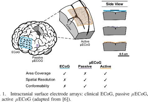 Figure 1 From Actively Multiplexed μecog Brain Implant System With