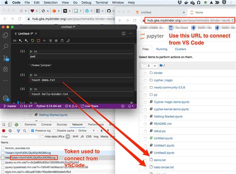 Accessing Mybinder Kernels Remotely From Ipython Magic And From Vs Code