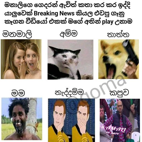 Sinhala Meme 121 Memes Quick