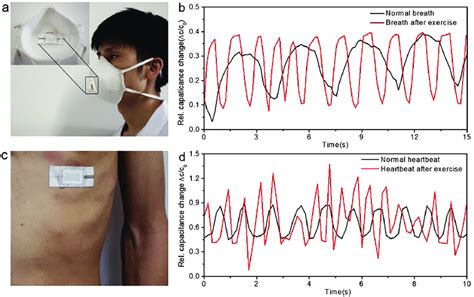 Breathable Pressure Sensor For Human Physiology Monitoring A The Download Scientific Diagram