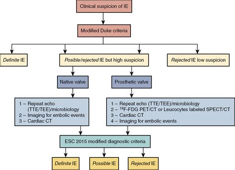 Infective Endocarditis Pathophysiology