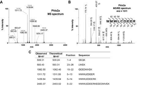 A Maldi Tof Ms Analysis Of Peptides Fragments From Tryptic Digest