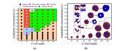 Self Assembly Of Single Polymer Tethered Nanoparticle Amphiphiles Upon Varying Tail Length 朱有亮课题组