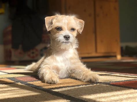 Driving A Raspberry Pi Based Robot Vehicle Using Motion Control By Rob Reuss Medium