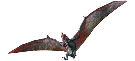 Pteranodon Jurassic Park Wiki Fandom