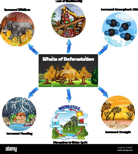 Effects Of Deforestation Drawings Deforestation Poster Drawing Save