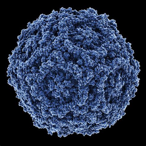 Parvovirus Particle Molecular Model Greeting Card By Laguna Design