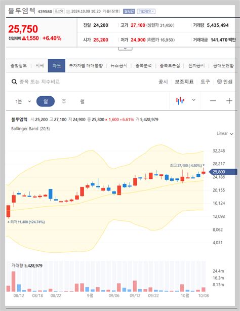 블루엠텍 주가 전망 및 분석 투자 기회와 리스크