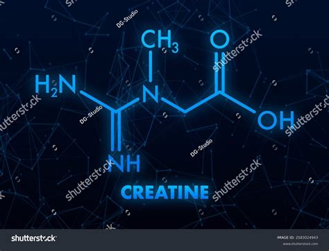 Creatine Structural Chemical Formula Plexus Background Stock Vector Royalty Free 2583024943