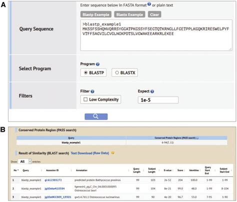 Sequence Search Interface A Sequence Search Allows Protein Or