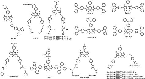 Figure 1 From Bodipy Based Molecules For Biomedical Applications