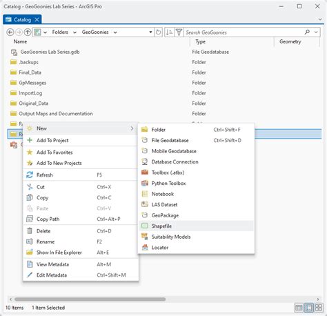Section Two Scanning And Digitizing Data Vector Based Gis