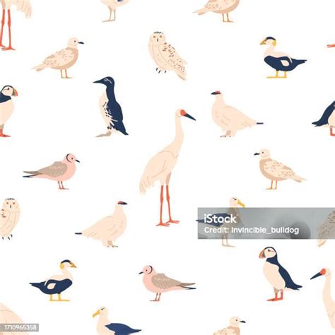 북극 조류 퍼핀 눈 올빼미 북극 제비 갈매기 일반 아이더 길레모트 샌더링 갈매기로 장식된 매끄러운 패턴 갈매기에 대한 스톡 벡터 아트 및 기타 이미지 Istock