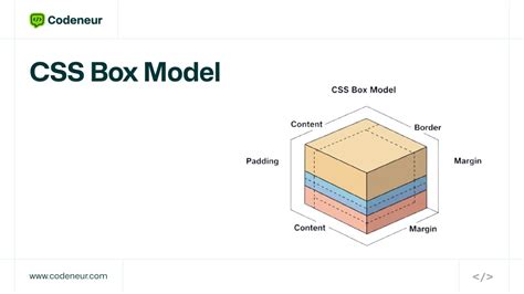 Css Box Model Codeneur The Best Bootcamp In The World