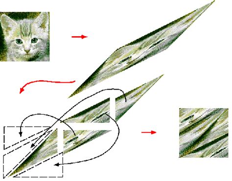 1 Arnolds Cat Map The Action Of One Iteration Of Arnolds Cat Map On Download Scientific